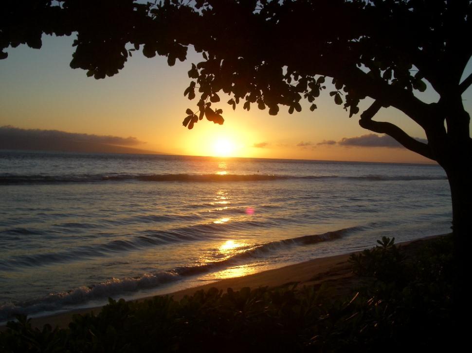 Free Stock Photo of Hawaii | Download Free Images and Free Illustrations