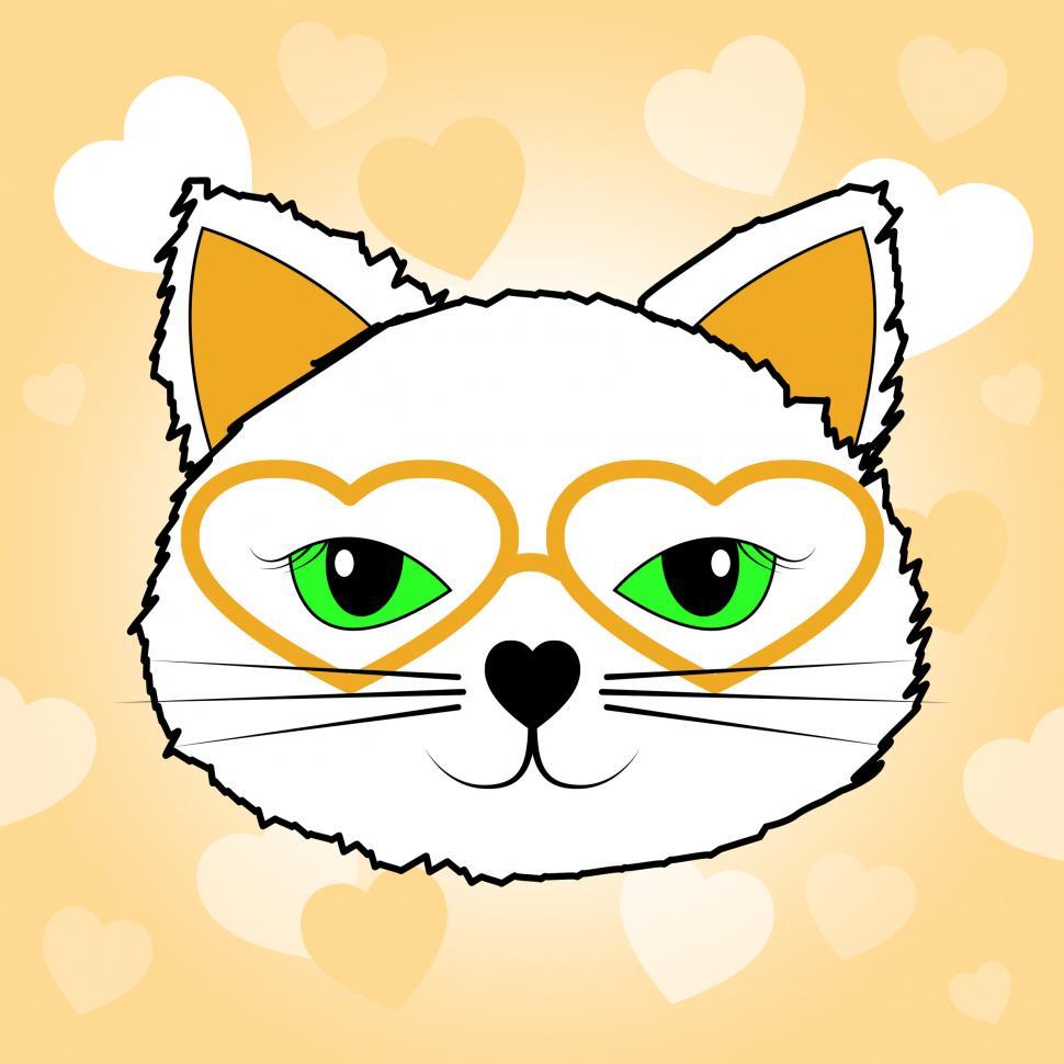 Free Stock Photo of Cat Love Shows Heart Shapes And Boyfriend ...