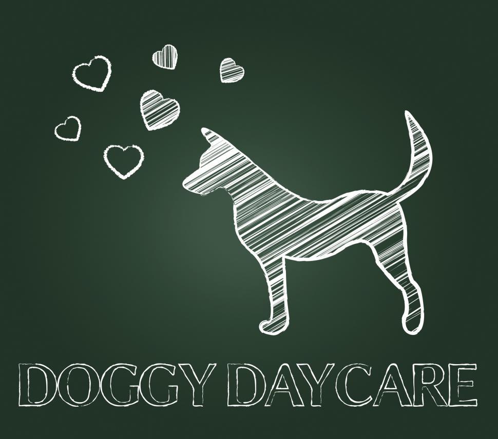 Free Stock Photo of Doggy Daycare Indicates Pedigree Childcare And ...