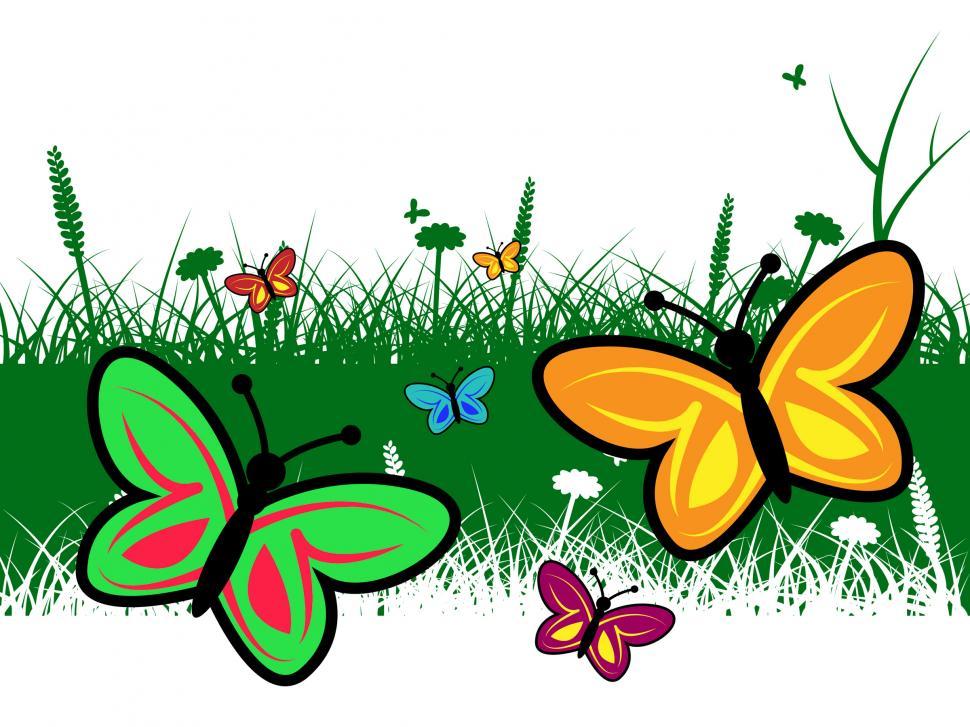 Free Stock Photo of Butterfly In Summer Represents Warm Butterflies And ...