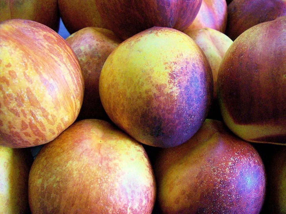 Free Stock Photo of Nectarines | Download Free Images and Free ...