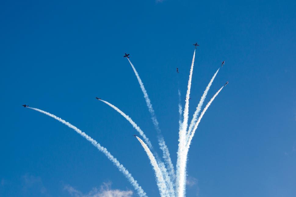 Free Stock Photo of Snowbirds | Download Free Images and Free Illustrations