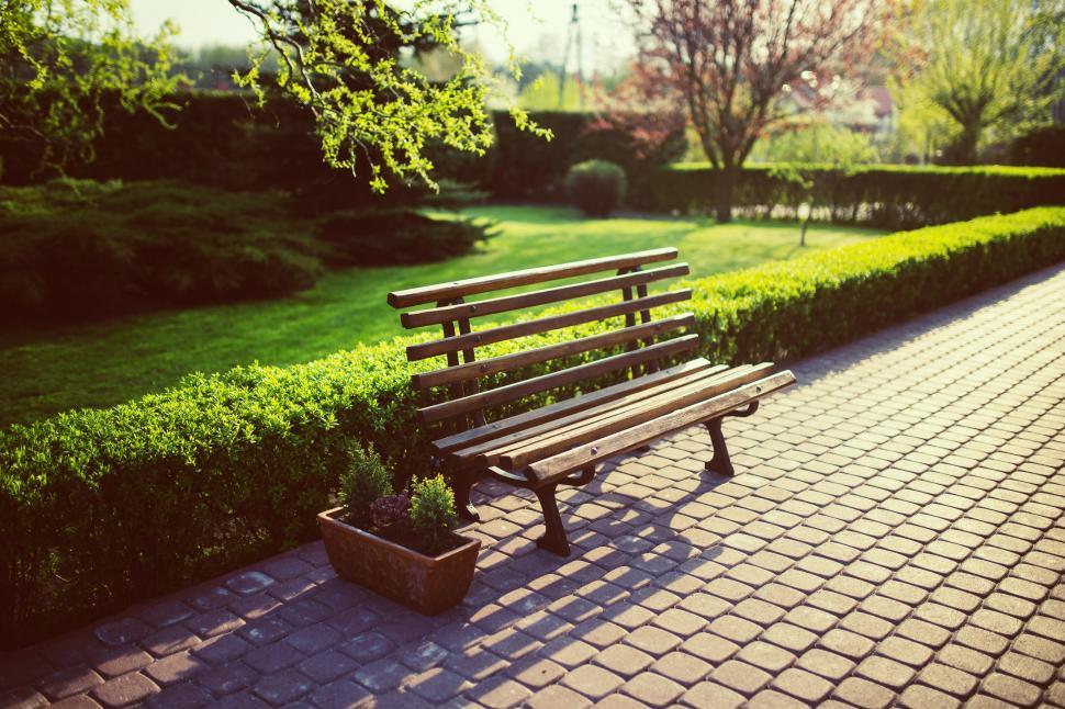 Free Stock Photo of Wooden Bench in Lush Green Park | Download Free ...
