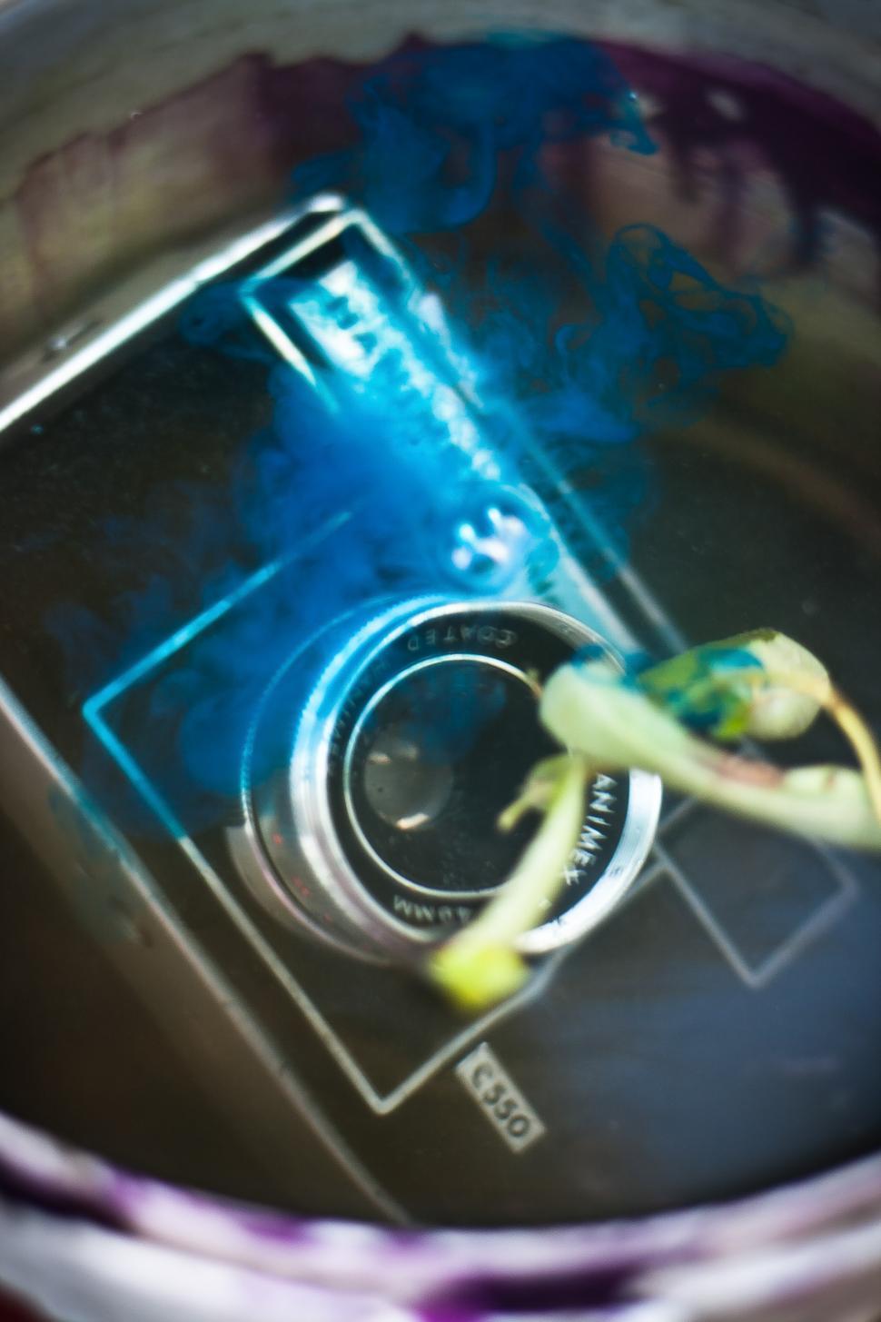 Free Stock Photo of Camera Close Up in Bowl | Download Free Images and ...