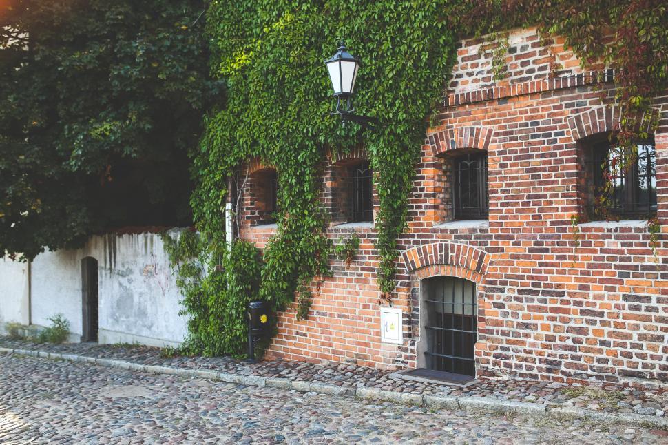 Free Stock Photo of Brick Building With Ivy Growing | Download Free ...