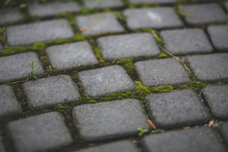 Free Stock Photo of Moss-covered Stone Pavement Close Up | Download ...