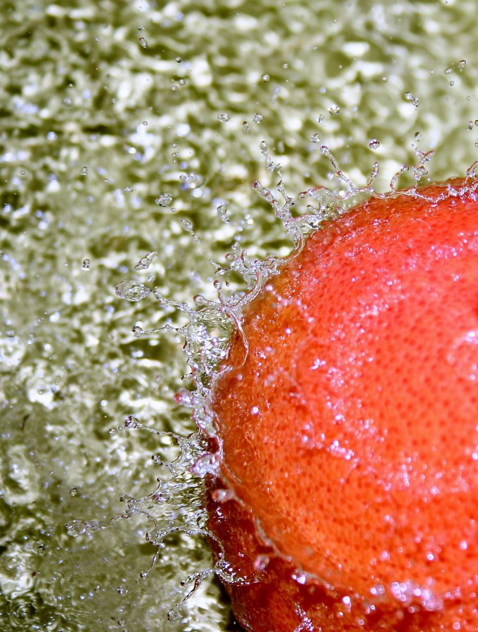 Free Stock Photo of grip fruit | Download Free Images and Free ...