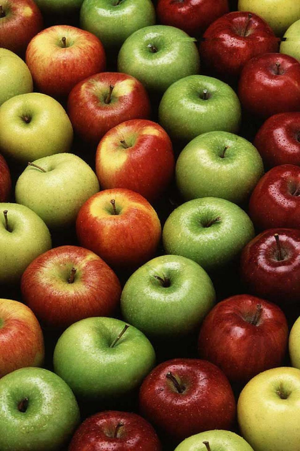Free Stock Photo of Apples | Download Free Images and Free Illustrations