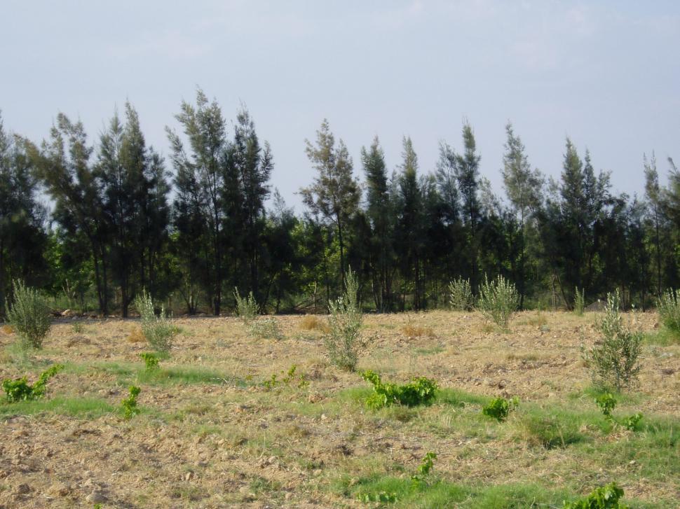 Free Stock Photo of COUNTRY IMAGES | Download Free Images and Free ...