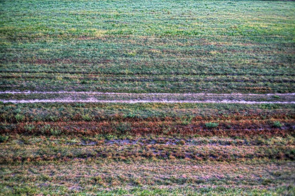 Free Stock Photo of Dirt road | Download Free Images and Free Illustrations