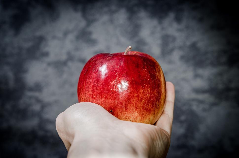 Free Stock Photo of Person Holding an Apple In Hand | Download Free ...