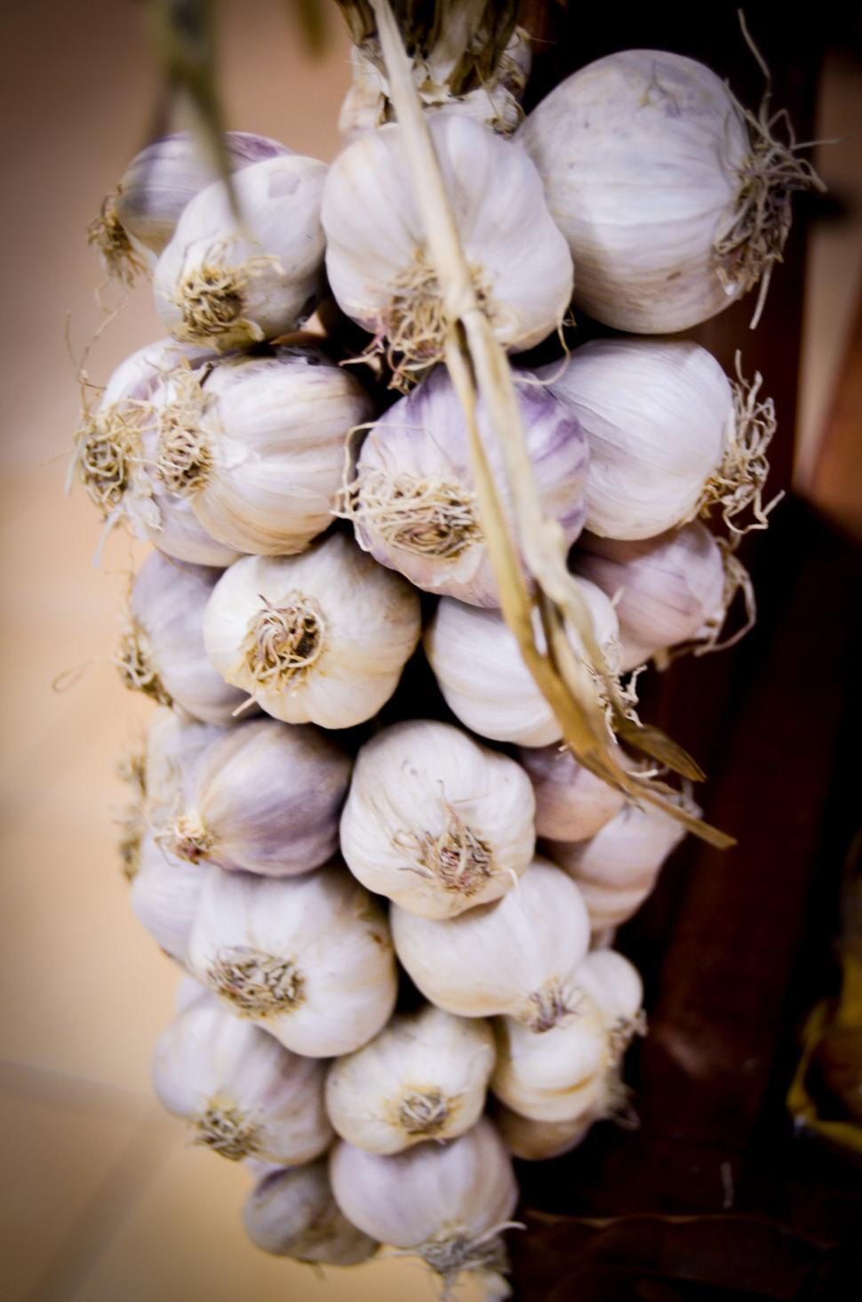 Free Stock Photo of Bunch of Garlic Hanging From a Rope | Download Free ...