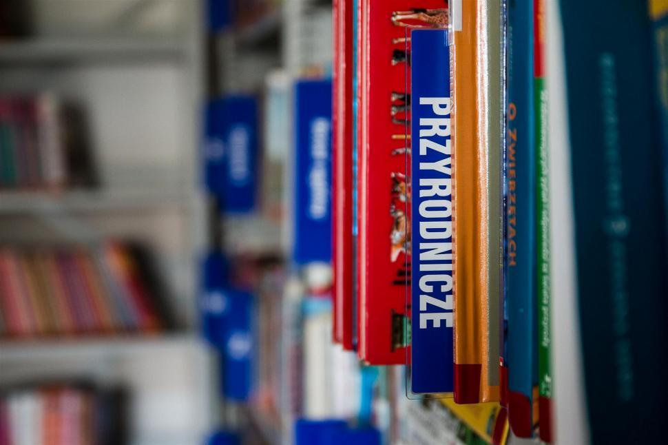 Free Stock Photo of Row of Books on Shelf in Library | Download Free ...