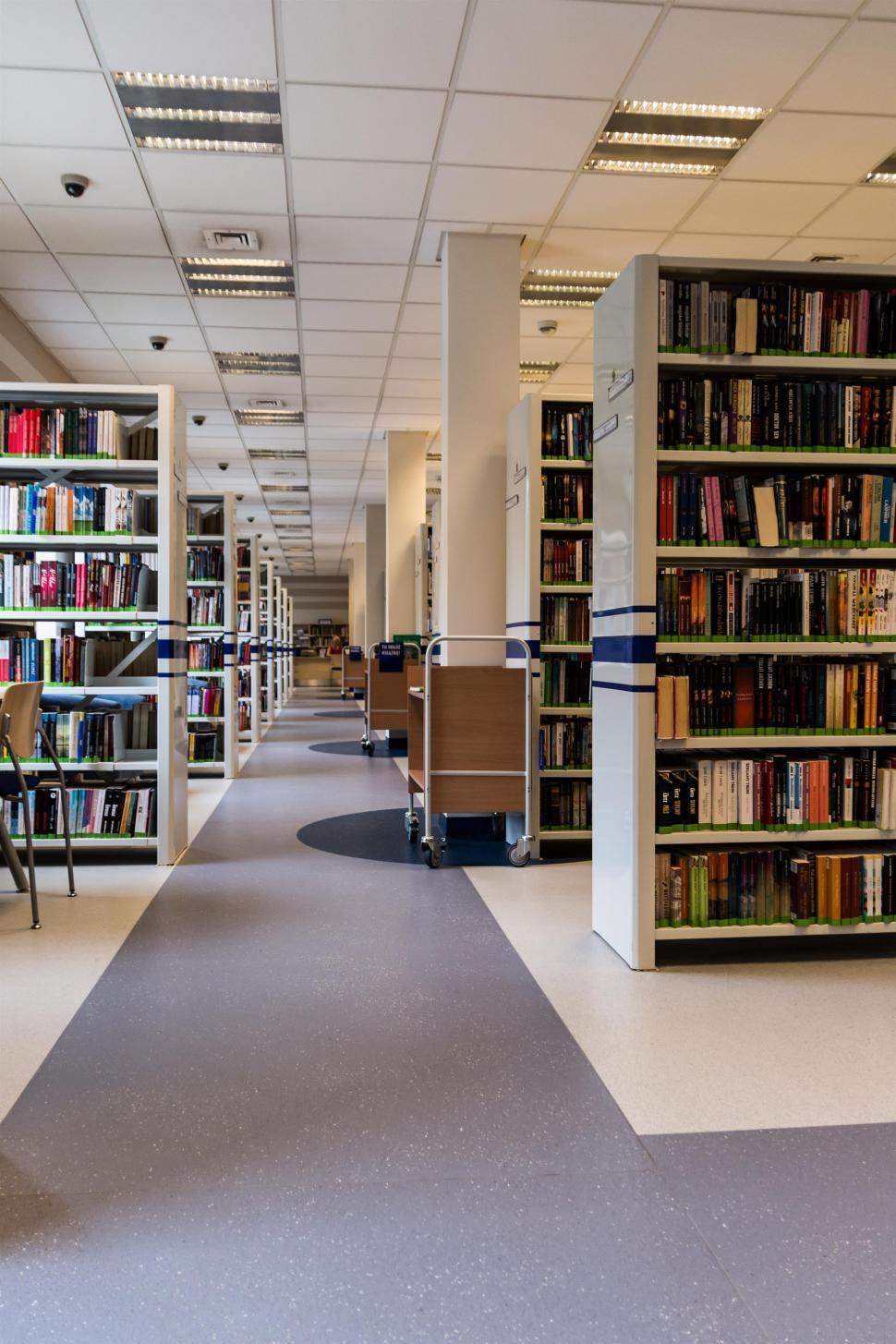 Free Stock Photo of Library Filled With Books and Chairs | Download ...