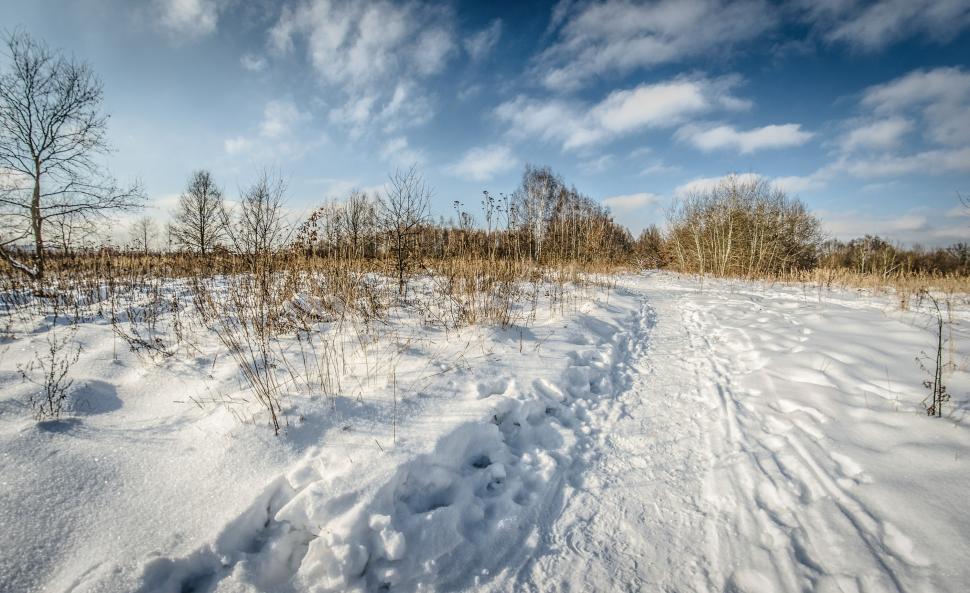 Winter Background Scenes Field Free Stock Photo Of Snow Covered Field