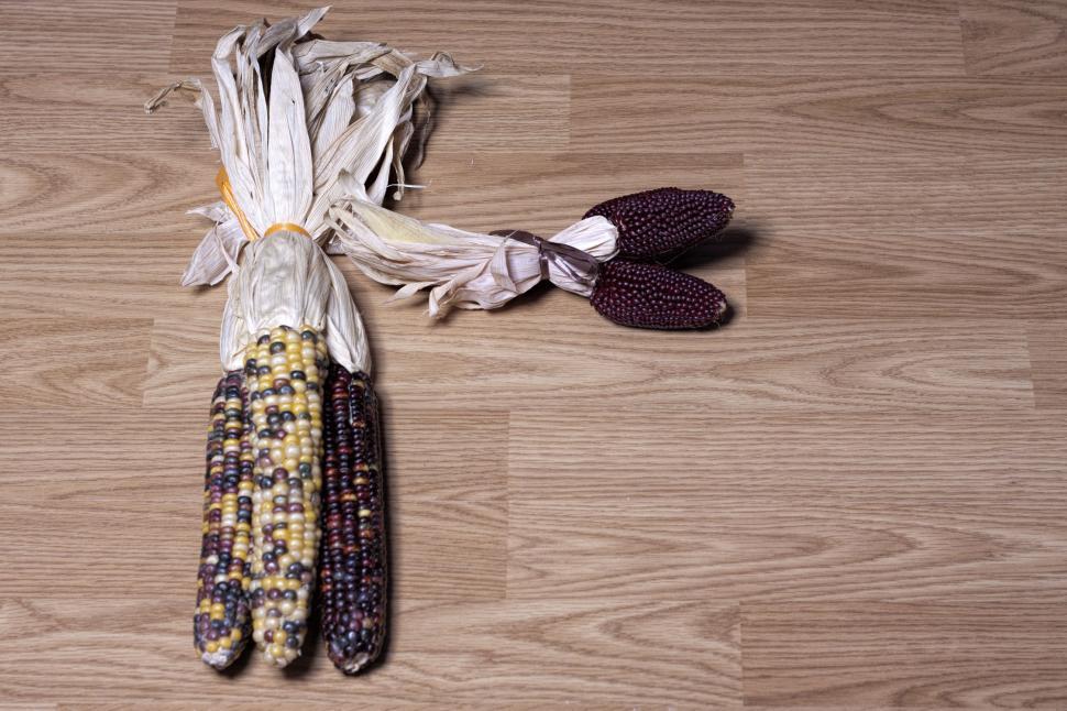 Free Stock Photo of Corn of different colors | Download Free Images and ...