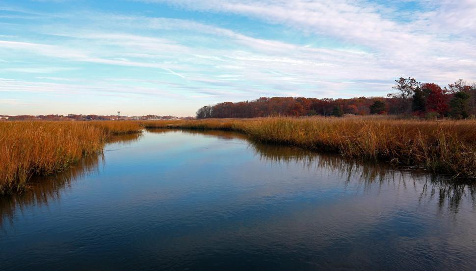 Free Stock Photo of Salt Marsh at Cheesequake State Park NJ | Download ...