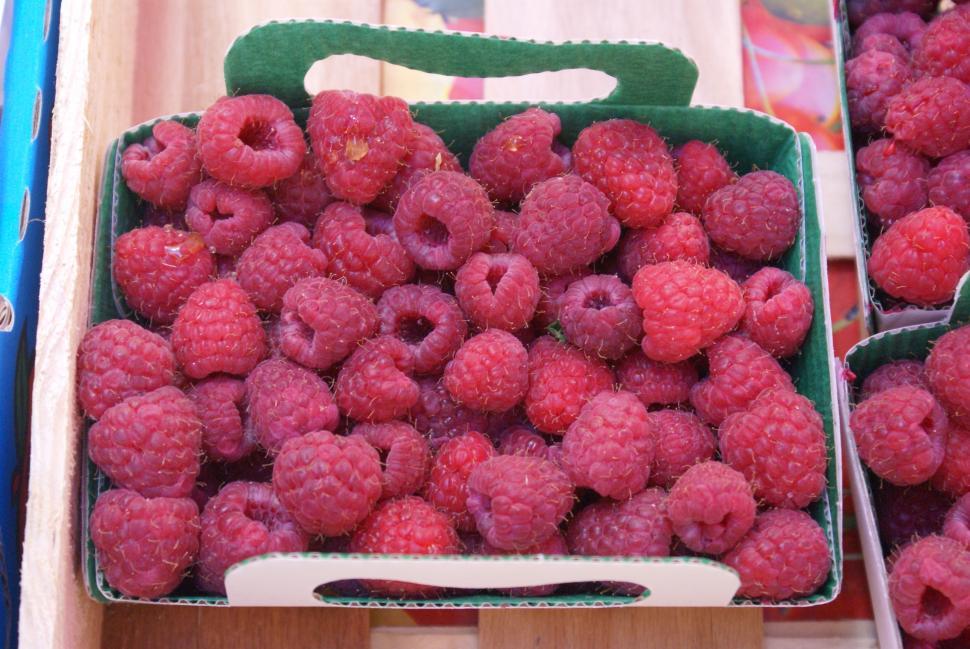 Free Stock Photo of Raspberries | Download Free Images and Free ...