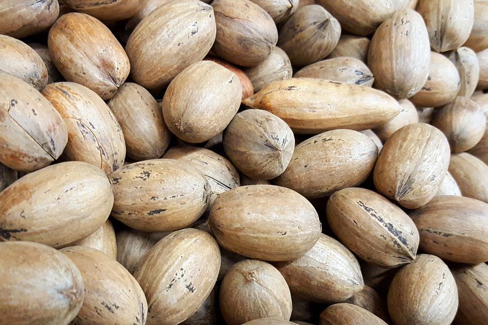 Free Stock Photo of Shelled Pecans | Download Free Images and Free ...