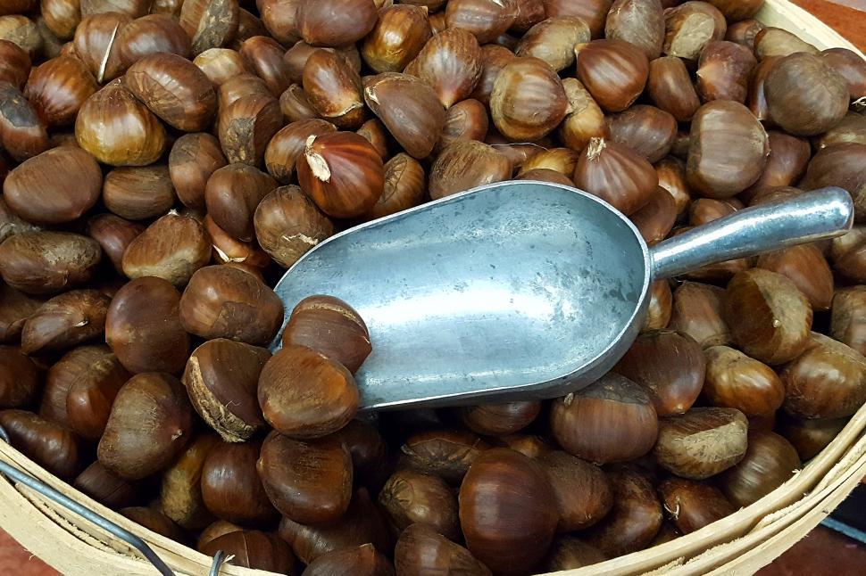 Free Stock Photo of Chestnuts | Download Free Images and Free Illustrations