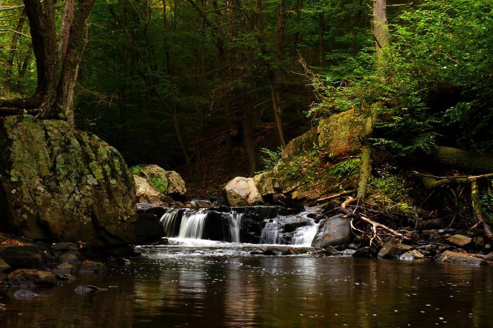 Free Stock Photo of Small Cascade | Download Free Images and Free ...