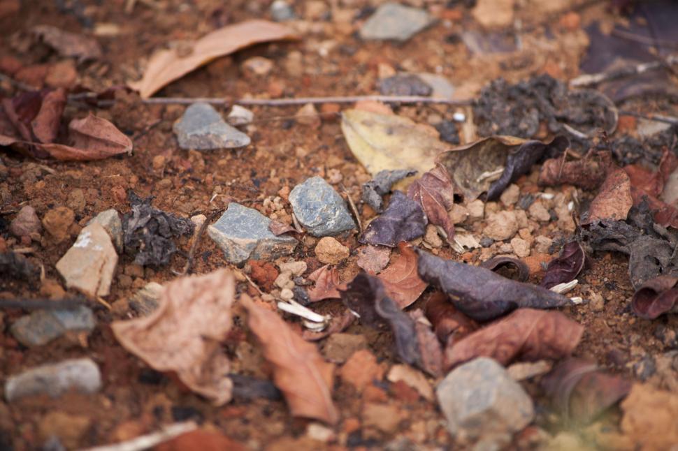 Free Stock Photo of Ground grunge | Download Free Images and Free ...