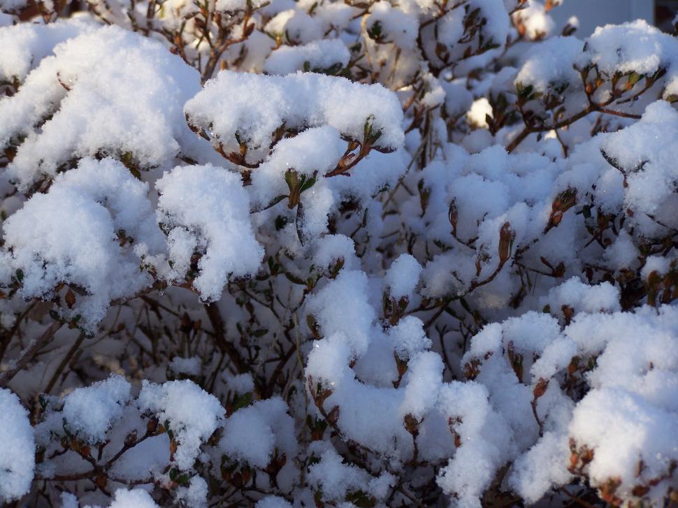 Free Stock Photo of Snow | Download Free Images and Free Illustrations