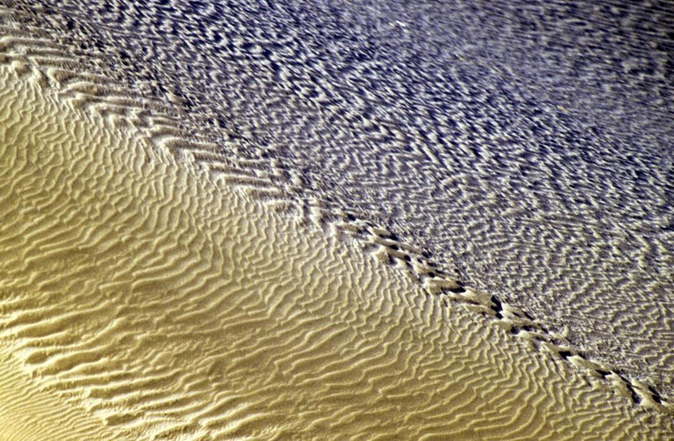 Free Stock Photo of Ripples in the beach sand | Download Free Images ...