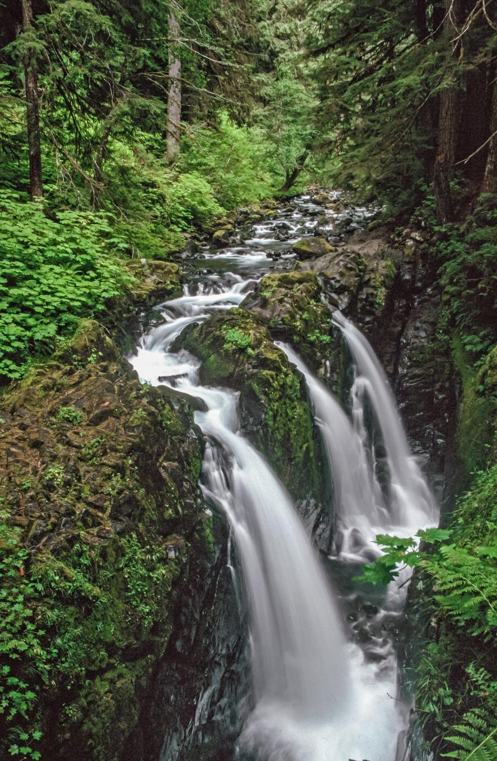 Free Stock Photo of Water flowing down Sol Duc Falls | Download Free ...