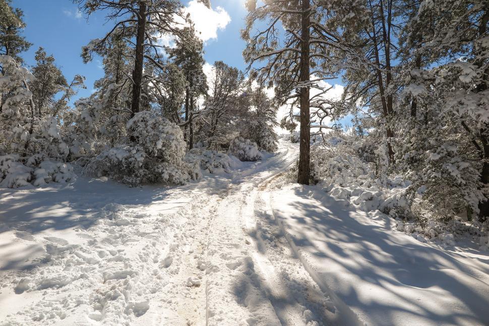 Free Stock Photo of One lane road covered in snow | Download Free ...