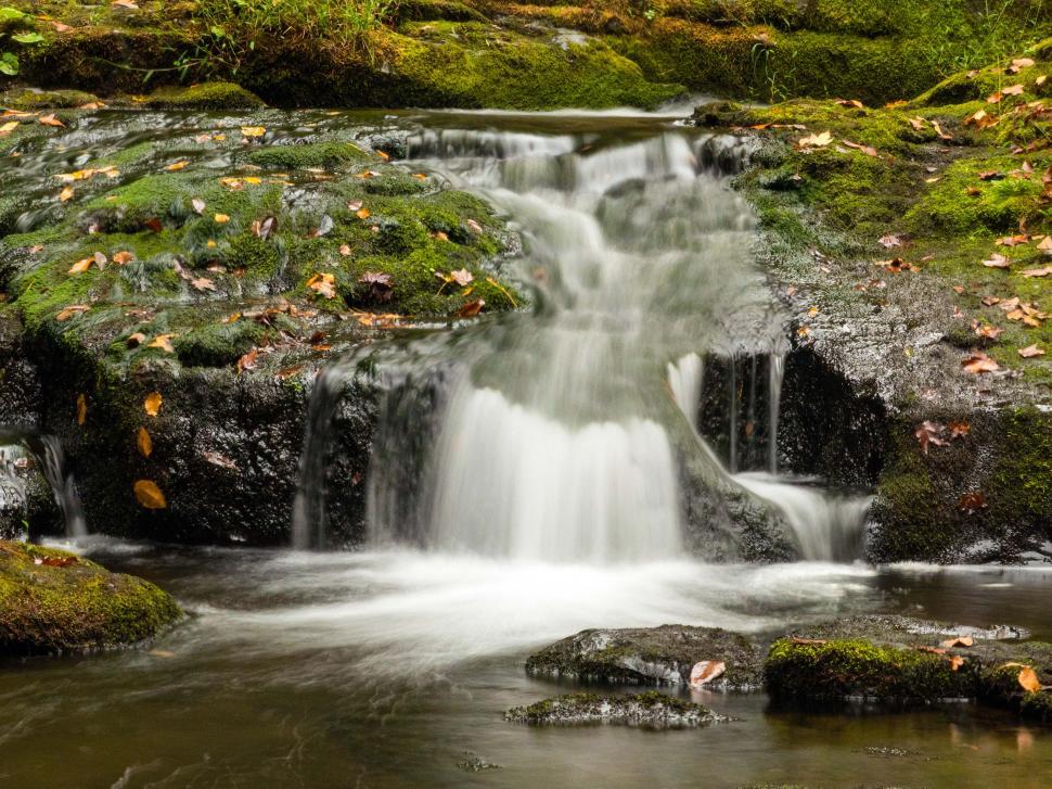 Free Stock Photo of Small Cascade | Download Free Images and Free ...