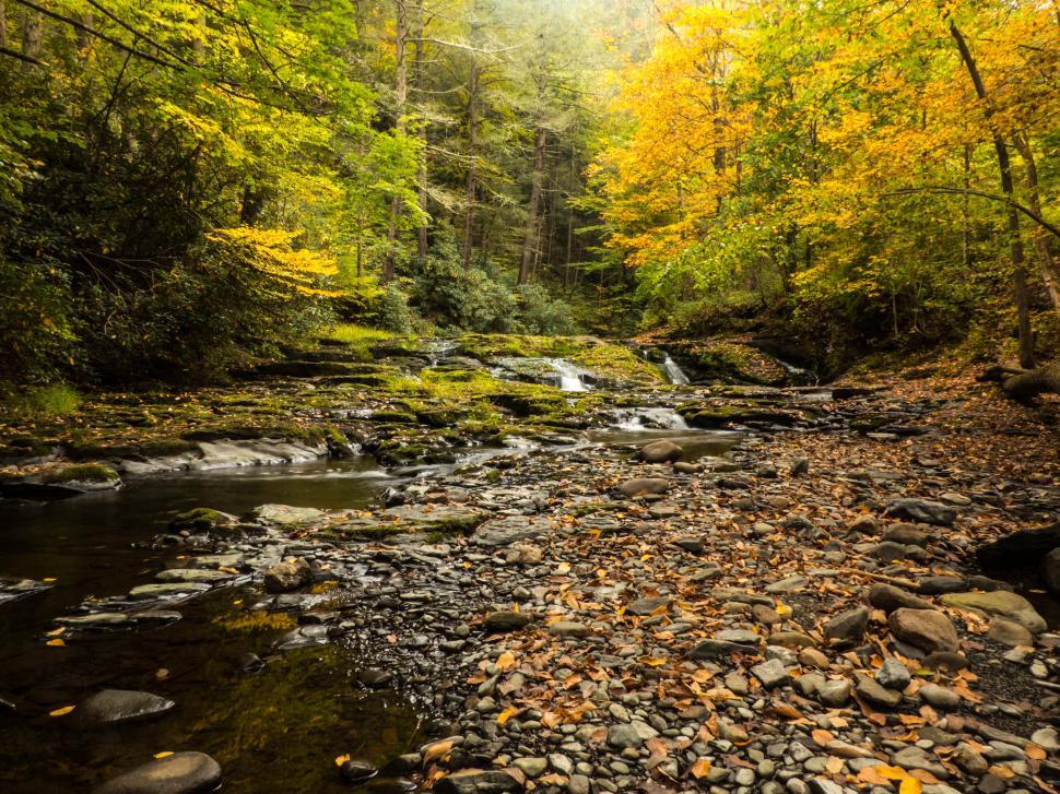 Free Stock Photo of Stream Water Cascades | Download Free Images and ...