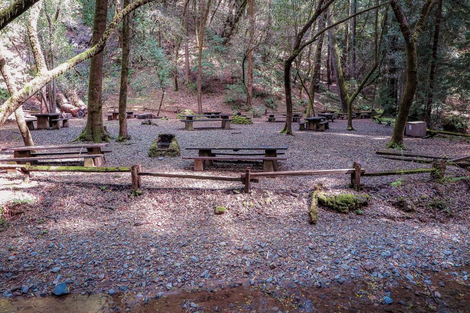 Free Stock Photo of Picnic area in the forest | Download Free Images ...