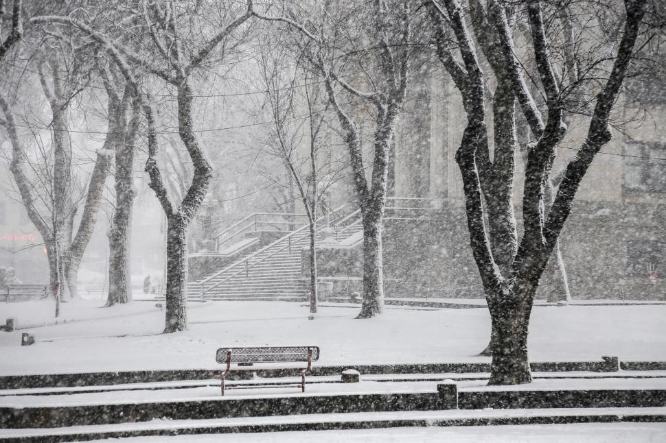 Free Stock Photo of Snow in the square | Download Free Images and Free ...