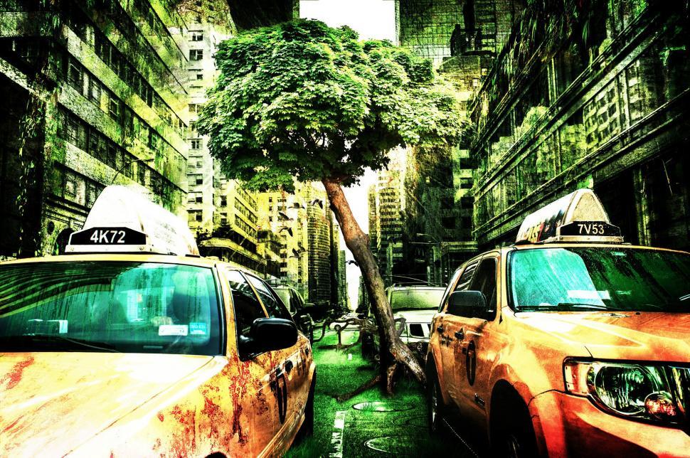 Free Stock Photo of Two Taxi Cabs Parked Next to Each Other | Download ...
