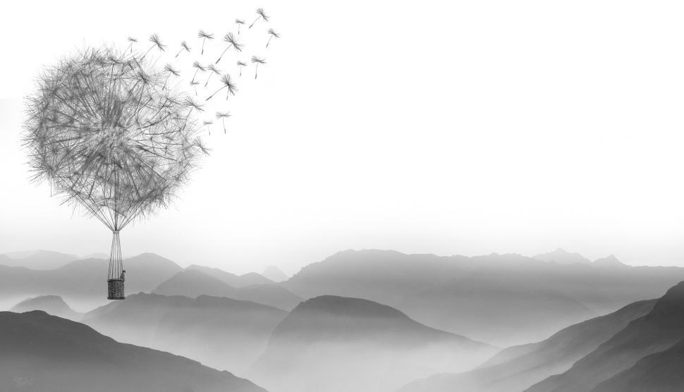 Free Stock Photo of Tree With Birds Flying Around in Black and White ...