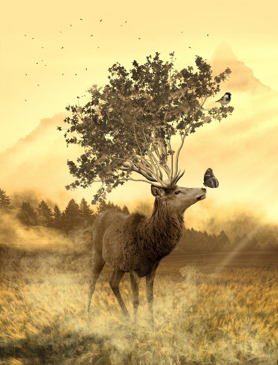 Free Stock Photo of Deer With Tree on Head | Download Free Images and ...