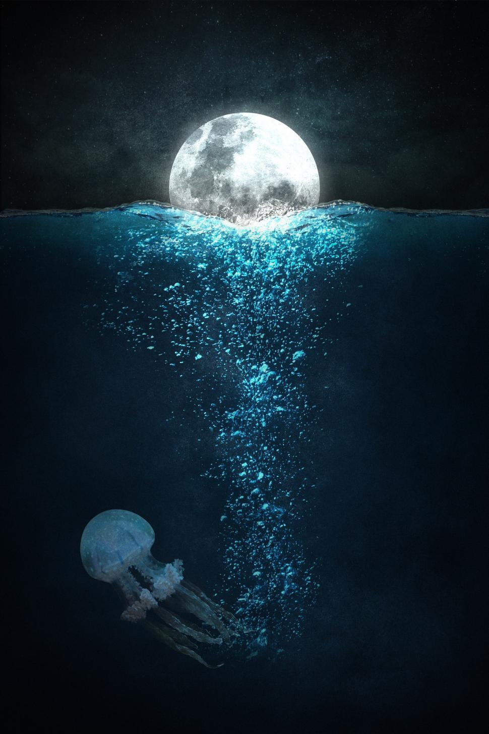 Free Stock Photo of Jellyfish Floating in Ocean Under Full Moon ...