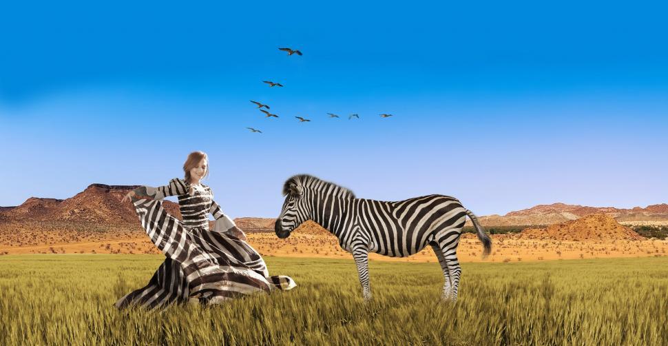 Free Stock Photo of Woman Sitting on Zebra in Field | Download Free ...