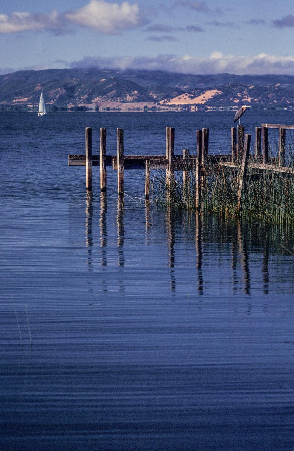 Free Stock Photo of Harbor Docks | Download Free Images and Free ...
