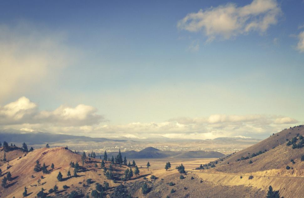 Free Stock Photo of Trees in wide landscape | Download Free Images and ...