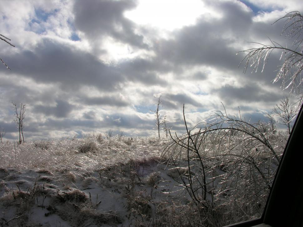 Free Stock Photo of Winter Ice Storm | Download Free Images and Free ...