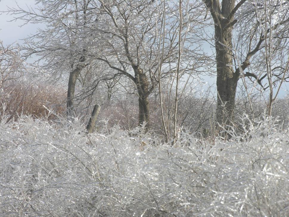 Free Stock Photo of Winter Storm | Download Free Images and Free ...