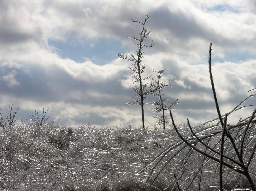 Free Stock Photo of Ice Storm | Download Free Images and Free Illustrations