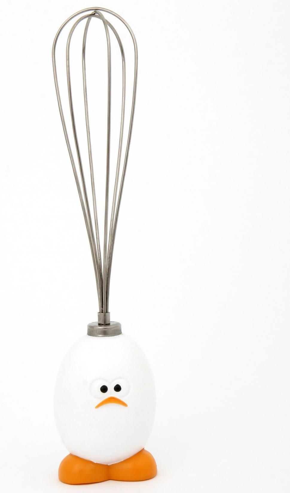 Free Stock Photo of White and Orange Bird Holding Whisk in Beak ...