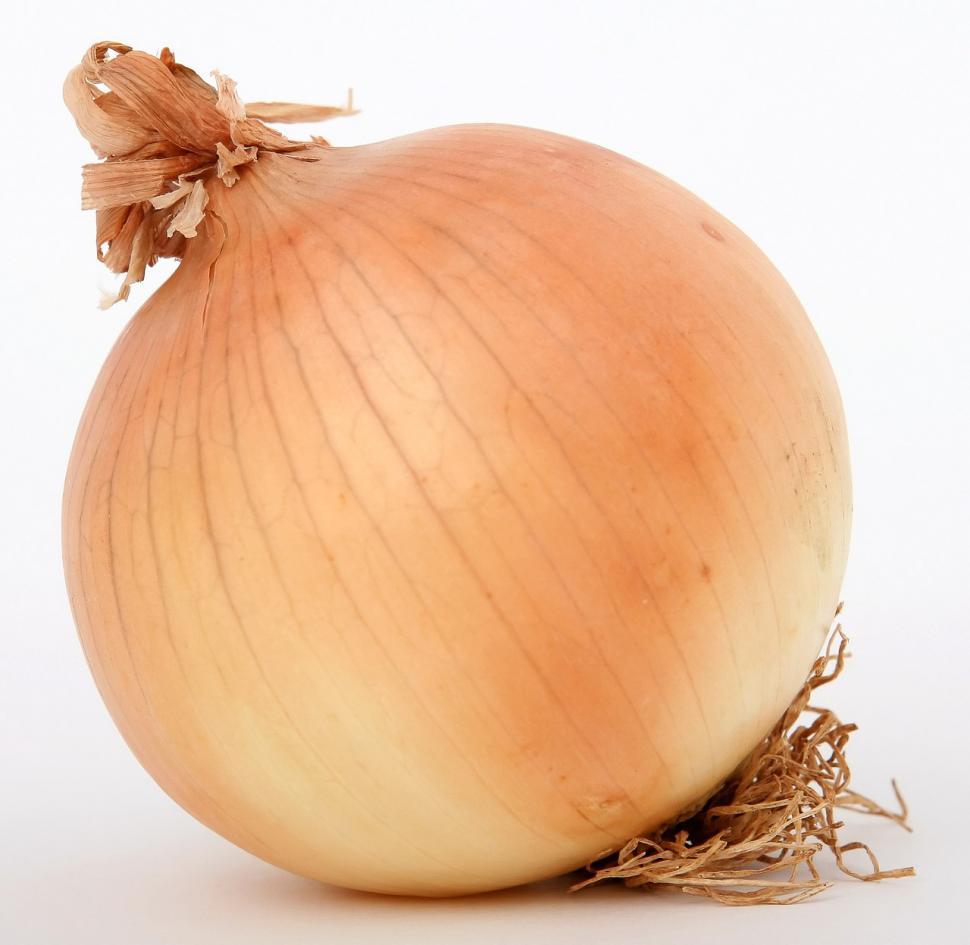 Free Stock Photo of Close Up of Onion on White Background | Download ...