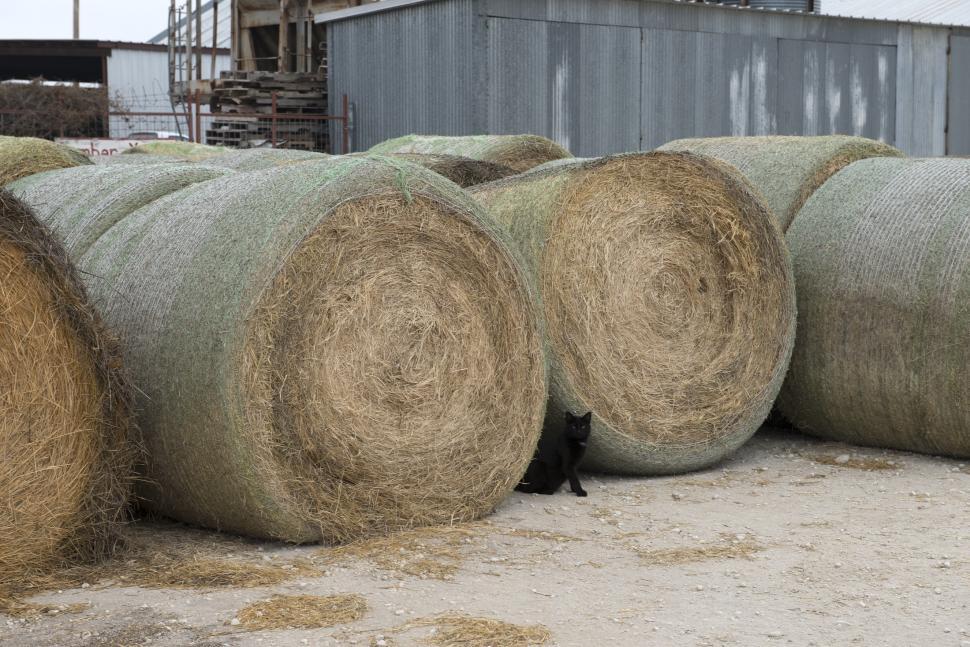 Free Stock Photo of Hay Pile Next to Building | Download Free Images ...