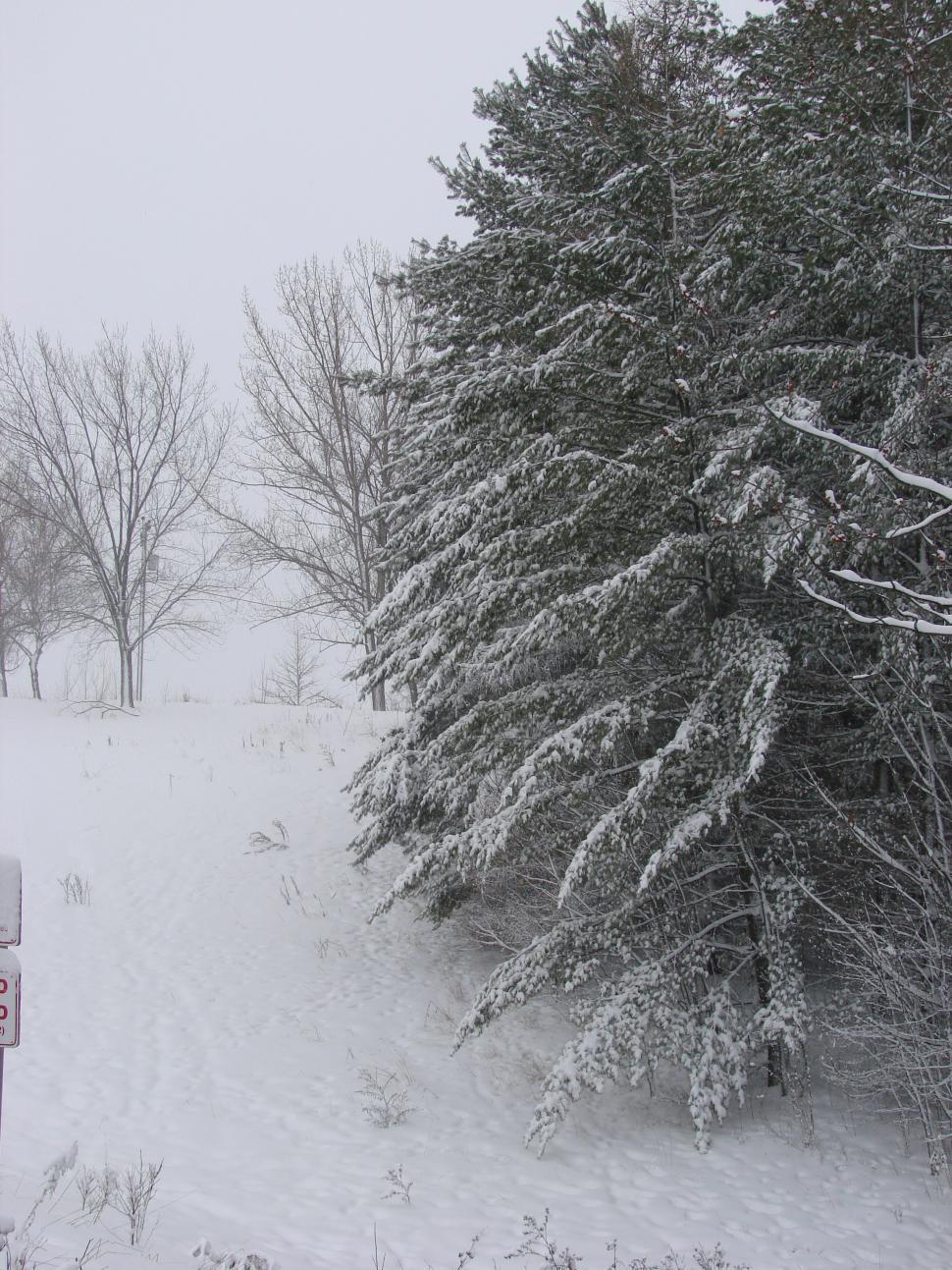 Free Stock Photo of Winter | Download Free Images and Free Illustrations