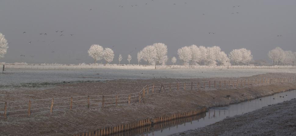 Free Stock Photo of the silence of nature | Download Free Images and ...