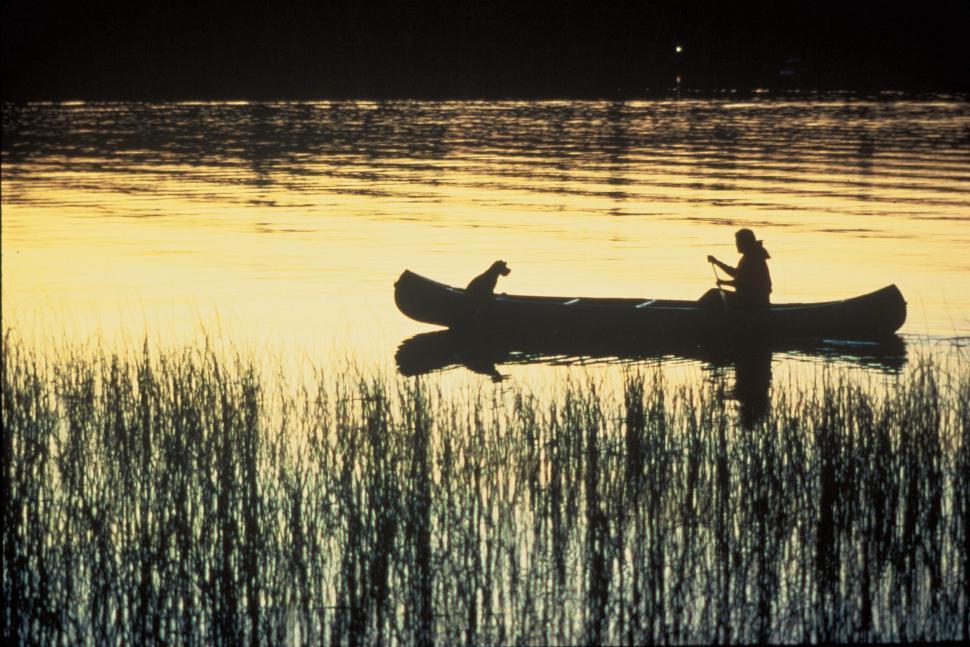 Free Stock Photo of People Canoeing on a Lake | Download Free Images ...